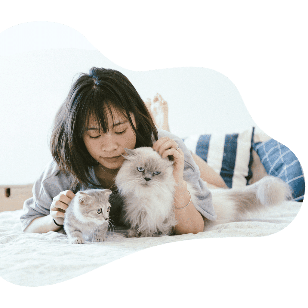 Cat Sitting Services - Personalized Care for Your Cat