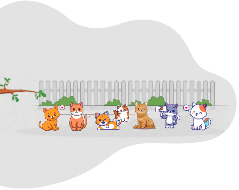 Cat Sitting Services - Personalized Care for Your Cat