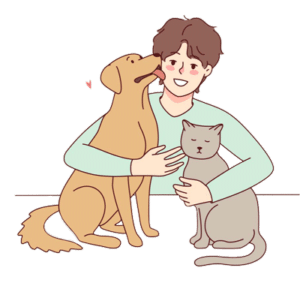 Top 6 Reasons To Choose Cat Sitting over Boarding Facilities