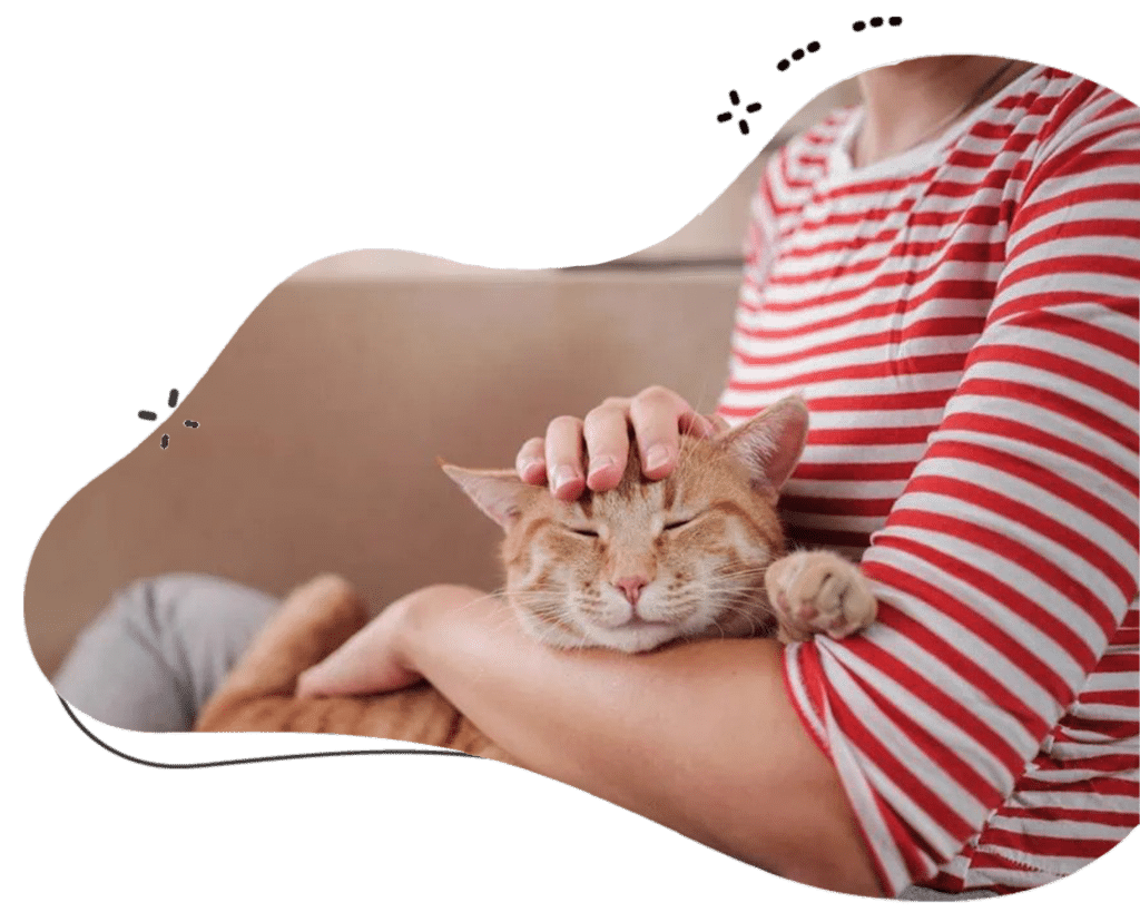 Cat Sitters in Dubai - Dedicated Care, One Purr at a Time