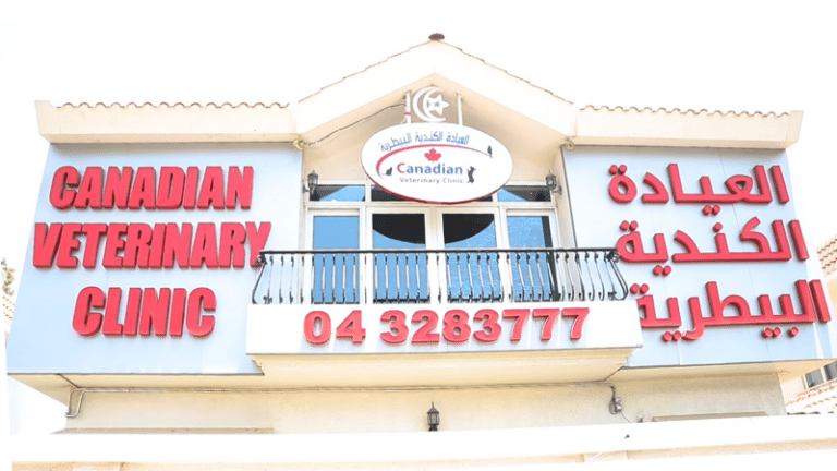 Top 10 Veterinary Clinics in Dubai- Analyzed 70+ Vet Clinics