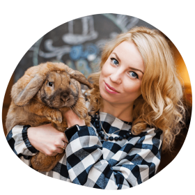 Specialized Rabbit Sitting & Boarding Services - Safe & Easy